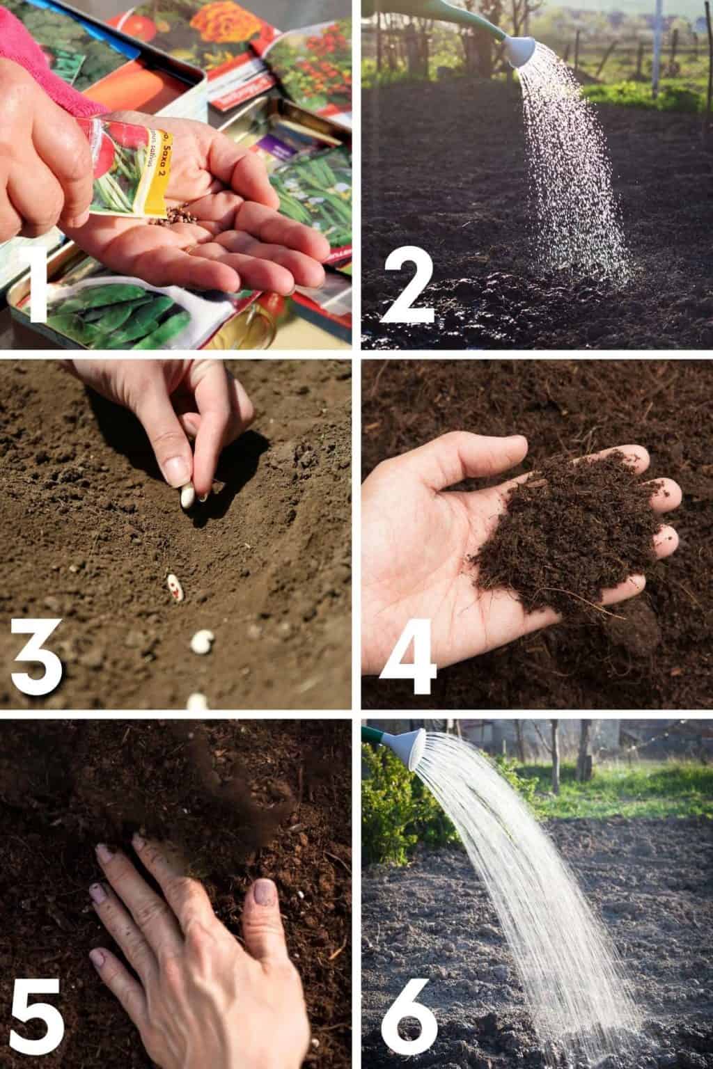 How to Plant a Garden — Organic Vegetable Gardening — Growfully
