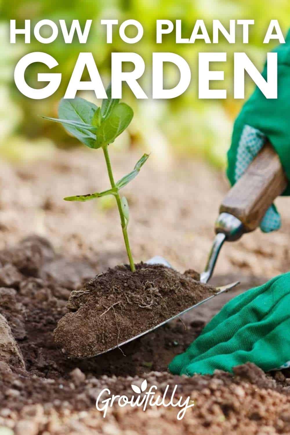 How to Plant a Garden — Organic Vegetable Gardening — Growfully