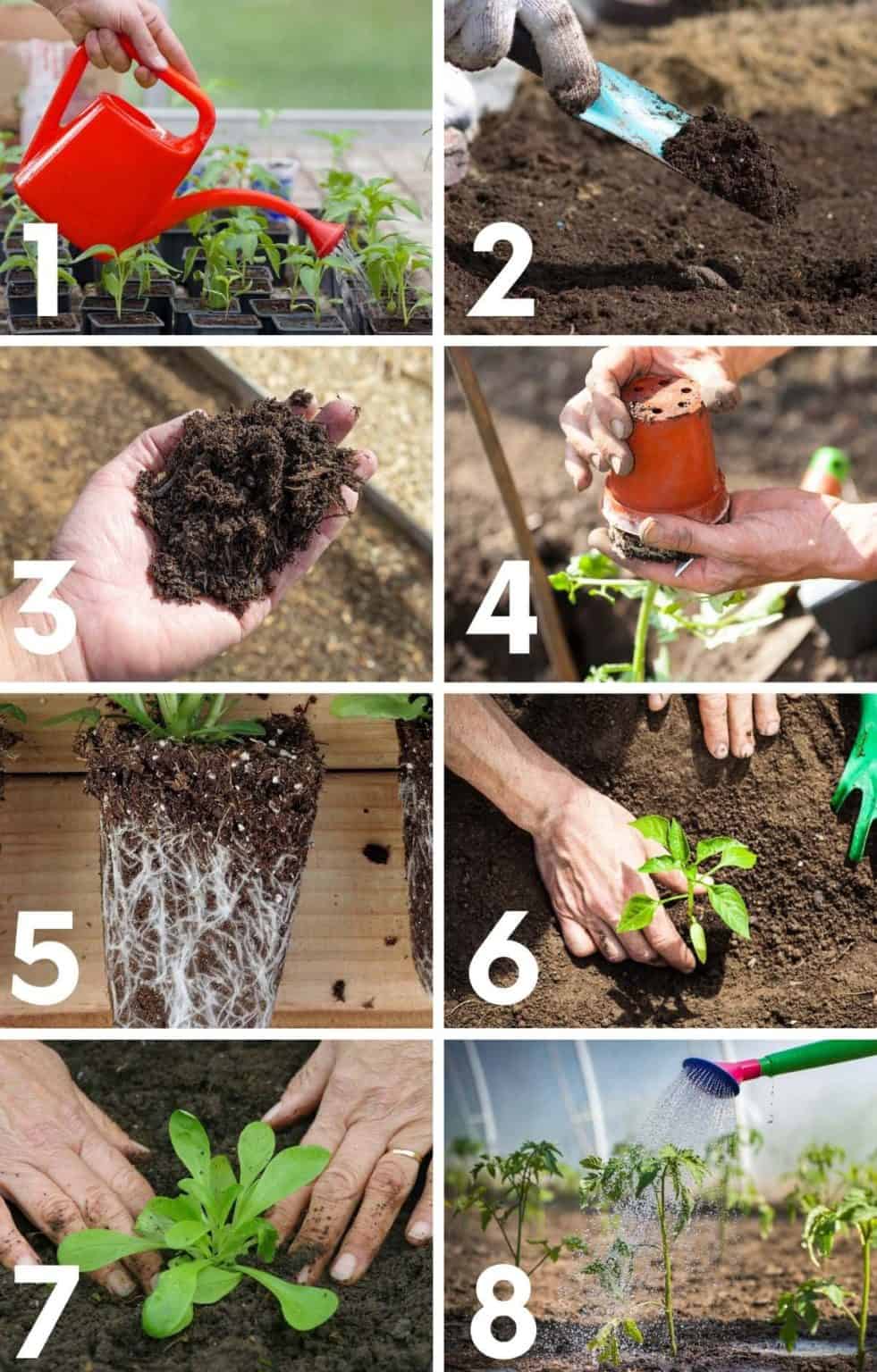 How to Plant a Garden — Organic Vegetable Gardening — Growfully