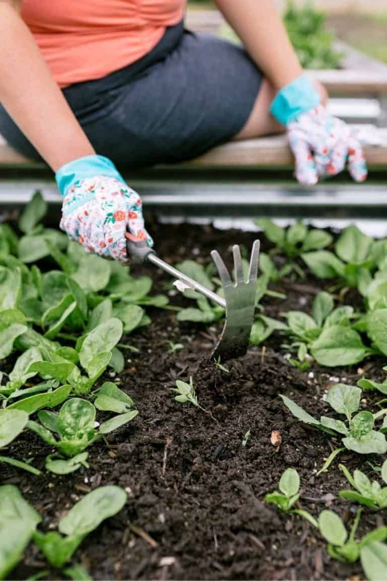 Top Garden Hand Tools That Every Gardener Should Have - Growfully