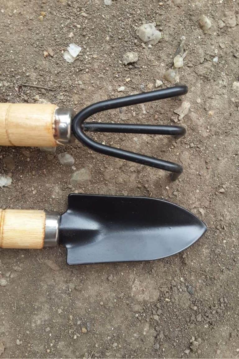 Top Garden Hand Tools That Every Gardener Should Have - Growfully