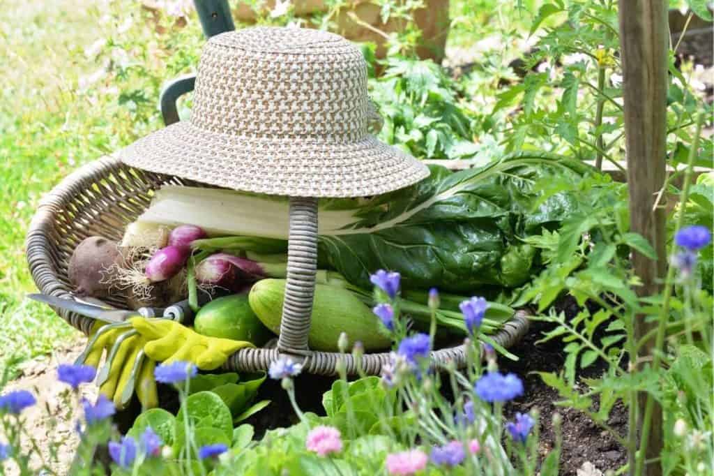 5 Best Gardening Hats For Every Style & Budget - Growfully