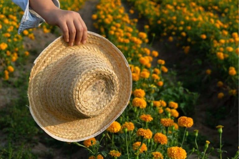 5 Best Gardening Hats For Every Style & Budget - Growfully