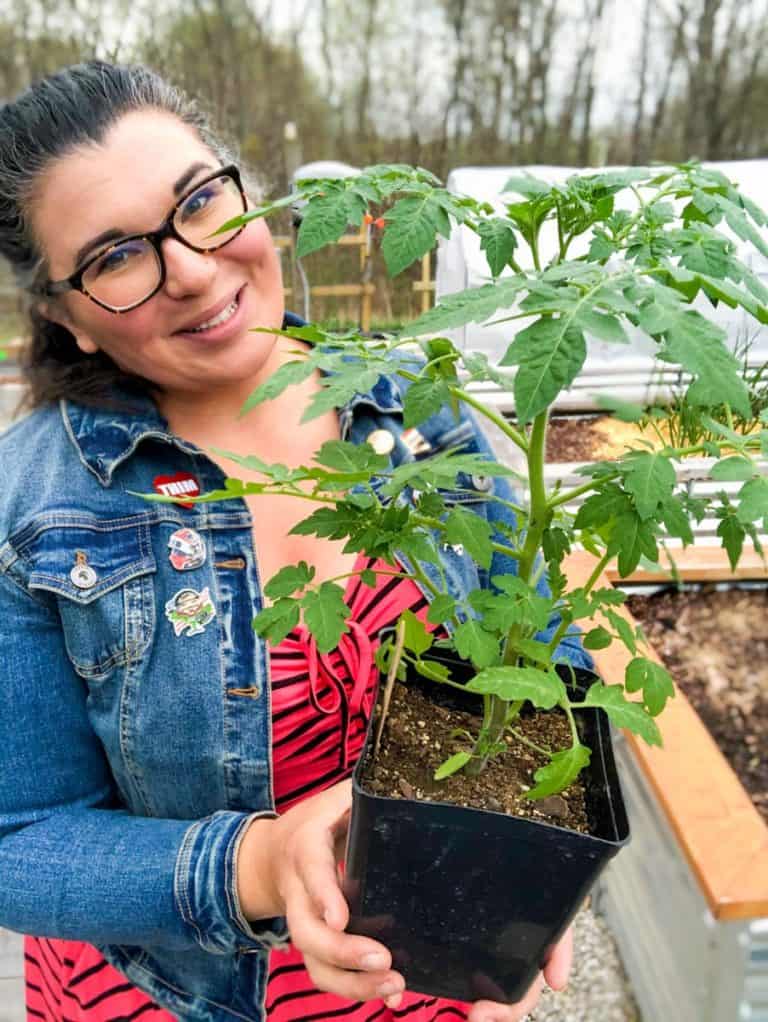 Why You Need a Fan on Your Seedlings - Growfully