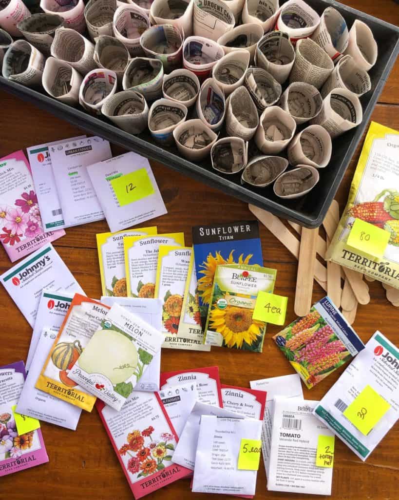 How to Make Newspaper Pots for Seedlings - Growfully