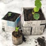 How to Make Newspaper Pots for Seedlings - Growfully