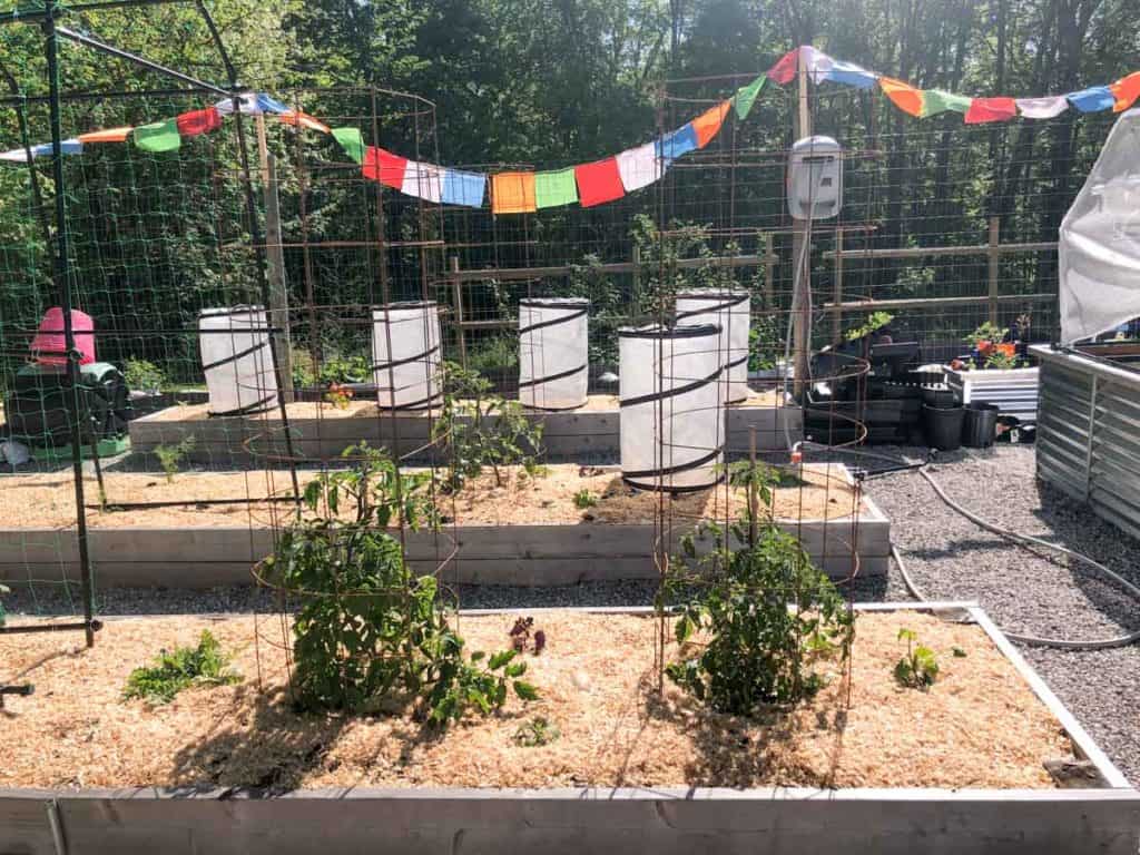 How To Make A Sturdy DIY Tomato Cage (With Pictures) - Growfully