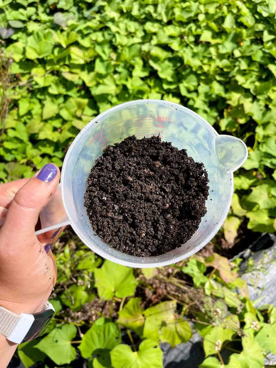 Why and How to Make Compost Tea (It's Easy!) - Growfully