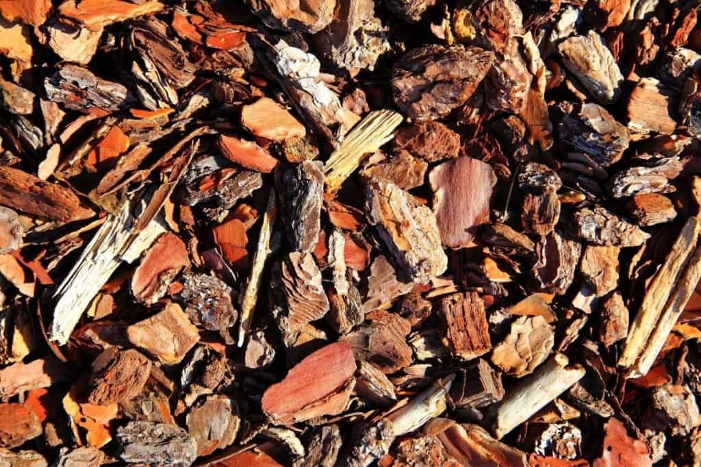 9 Types of Mulch for A Low-Maintenance Organic Garden - Growfully