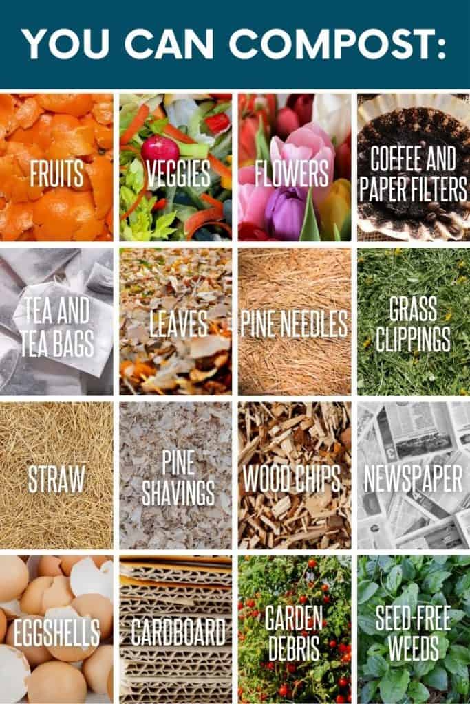 Composting for Beginners: How to Get Started - Growfully